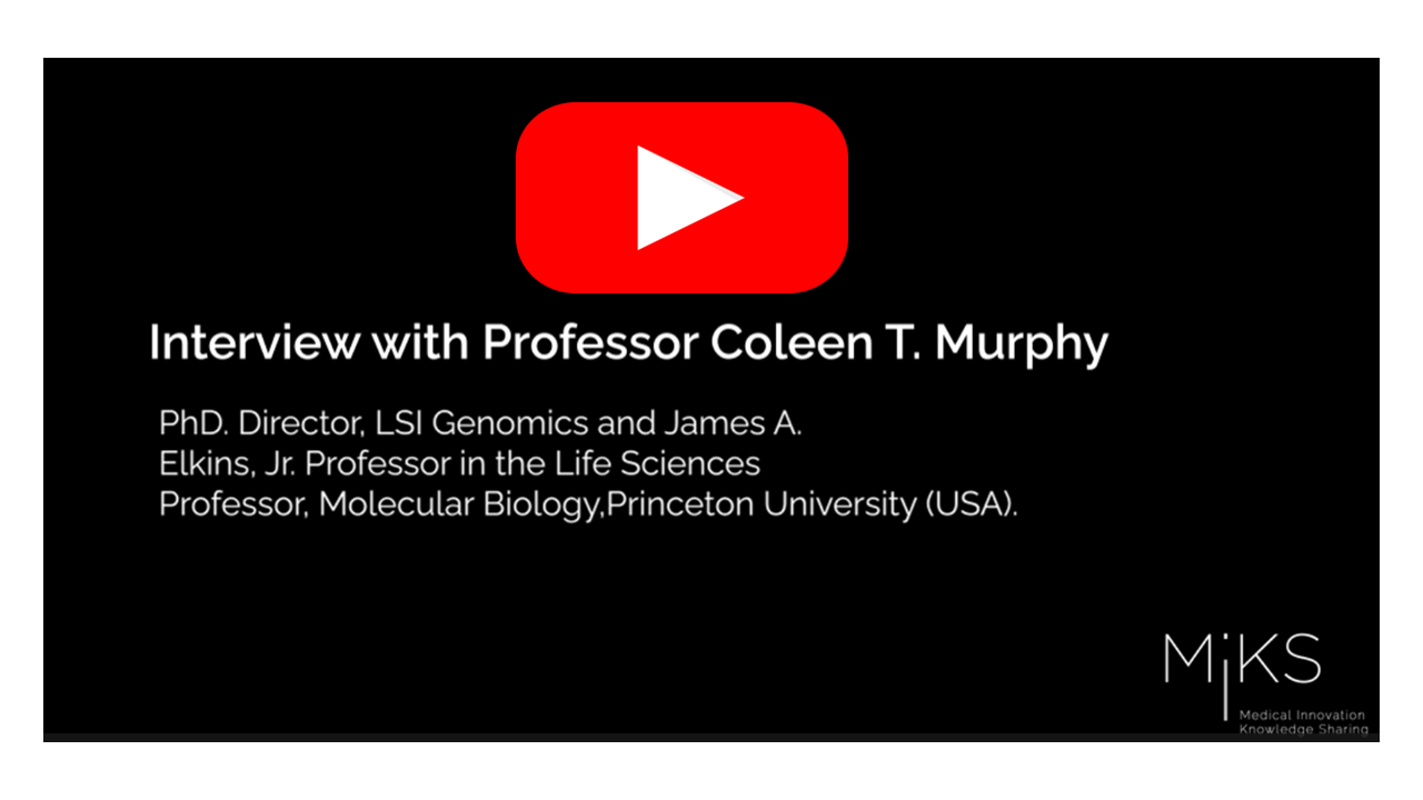 Regenerative Medicine Update I MiKS