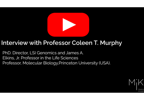 Regenerative Medicine Update I MiKS